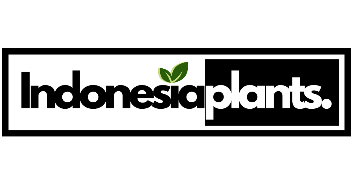 Indonesiaplants | Tropical Houseplants | Import Plants from Indonesia ...